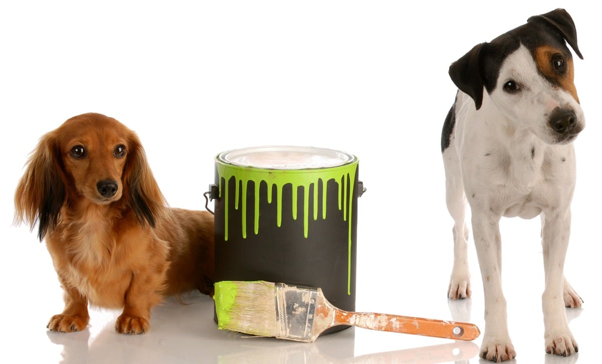 Is Paint With VOCs Safe? How to Protect Your Home and Health ...